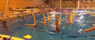 Julie Bouchard nous fait découvrir la natation synchronisée - sudinfo.be