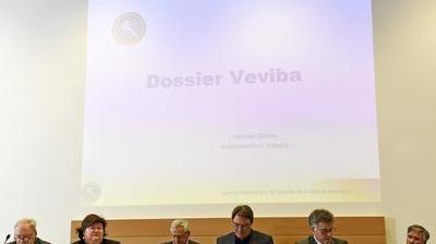 Veviba: le groupe Verbist doit encore 3,7 millions à la Région - sudinfo.be