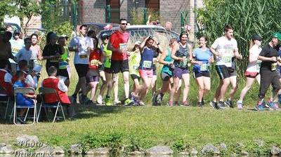 Jogging: grand succès à la Corrida de Limelette ce week-end - sudinfo.be