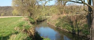 Le parc naturel de la Dyle: un projet de 10.000 hectares bientôt ...