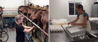 Cassandre Verhelst, la Cominoise qui «murmure à l’oreille des chèvres ...