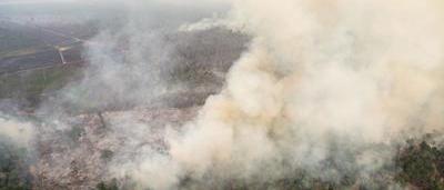 Les brûlis interdits pour freiner les incendies en Amazonie - sudinfo.be