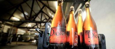 Basècles: une balade de Diôle en Diôle au menu - sudinfo.be