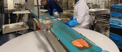 Jumet:Sodial investit et développe une gamme de snacking (vidéo ...