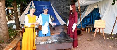 Le Festin fête sa 441e édition à Lessines - sudinfo.be