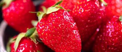 La fraise belge, produit phare du printemps en région du Centre ...