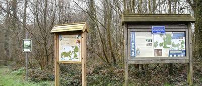 Le futur de la forêt de Sivry-Rance approuvé à l’unanimité - sudinfo.be