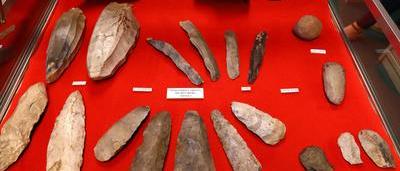 La professeure de l’ULiege Veerle Rots reçoit un prestigieux prix ...