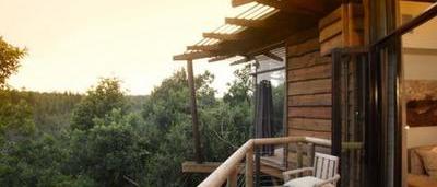 Projet de bar perché à Habay: la procédure suit son cours - sudinfo.be