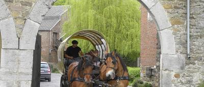 La commune de Nandrin souhaite transporter les élèves en calèche ...
