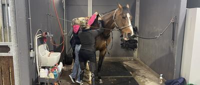 Émeline, Amaytoise amputée des jambes, va reprendre la compétition ...