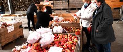 La Pomme sera encore à la fête ce dimanche à Rongy - sudinfo.be
