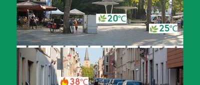 La commune de Jette lance son Plan Arbre - sudinfo.be