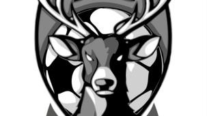 Le logo a subi un petit lifting pour les 40 ans - sudinfo.be