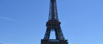 Le petit singe de Mons, ce globe-trotter! - sudinfo.be