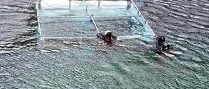 Inédit en Belgique: une expo photo sous l’eau de la carrière de Vodelée ...